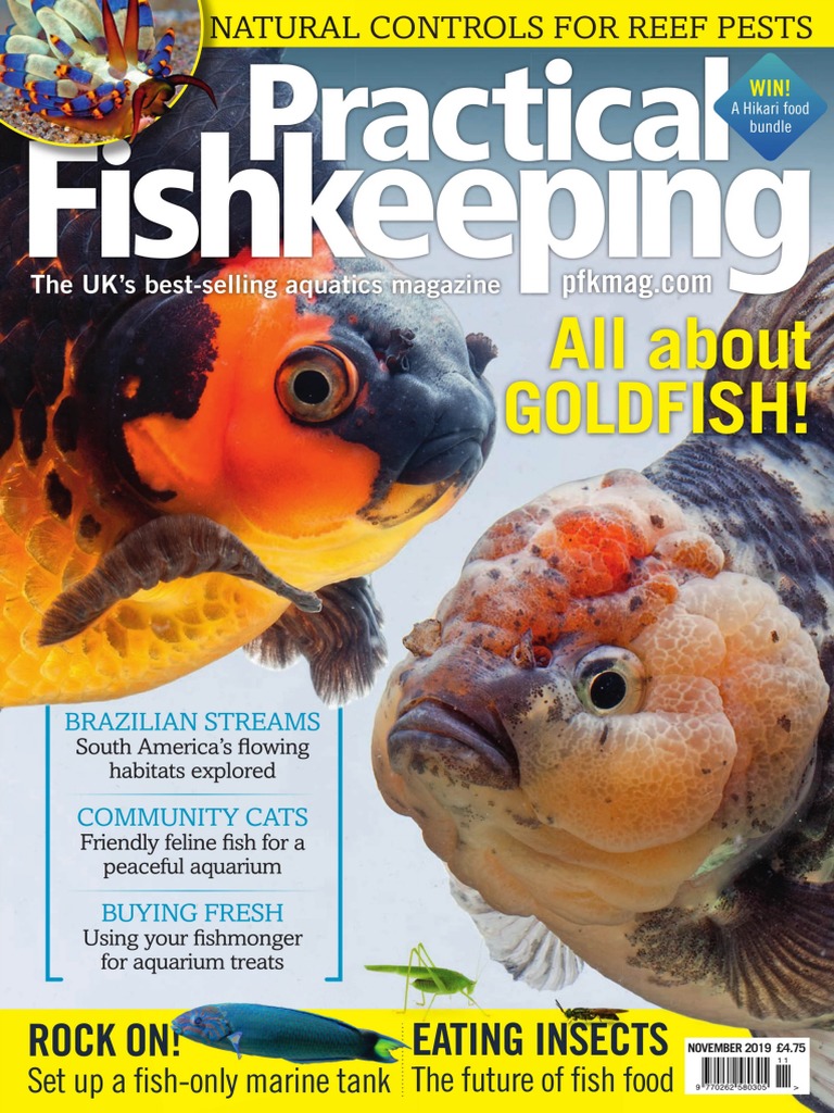 Practical Fishkeeping - November 2019