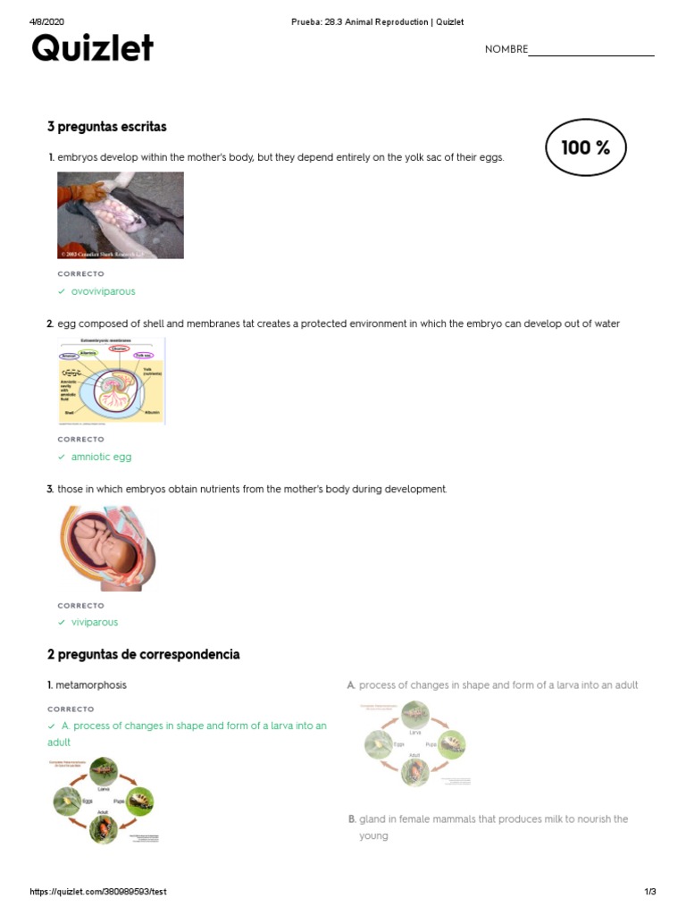 Embryo Development Quizlet Answers | PDF | Egg | Biological Interactions