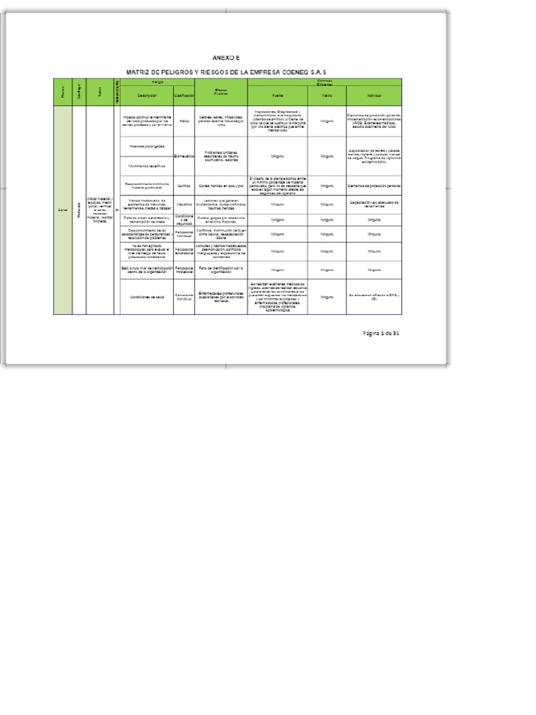 ANEXO E MATRIZ DE PELIGROS Y RIESGOS DE LA EMPRESA COENEQ S.A.S - PDF Descargar Libre | PDF