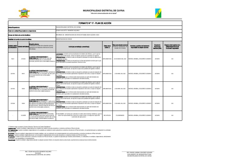 Formato 17-Plan de Accion | PDF | Bienestar | Medicina