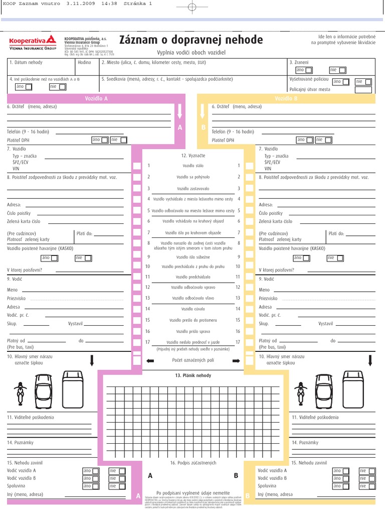 Správa o nehode | PDF