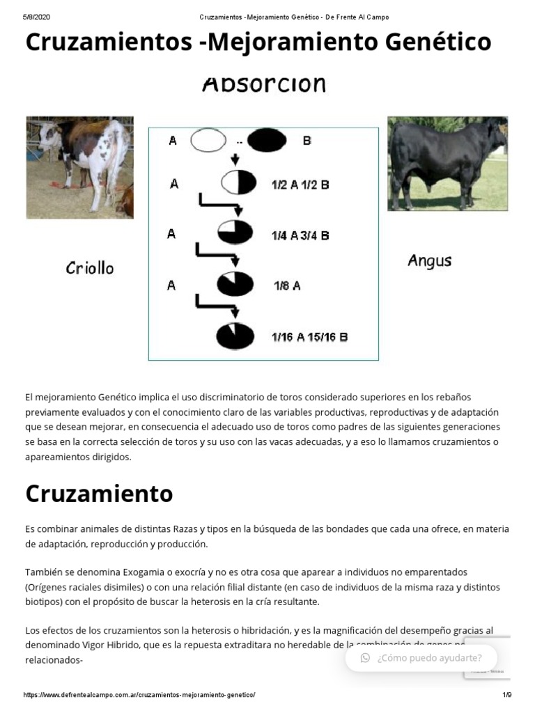 Cruzamientos - Mejoramiento Genético | PDF | Endogamia | Genética