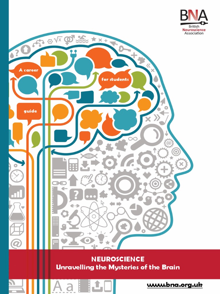 Neuroscience Careers Leaflet PDF | PDF | Neuroscience | Brain