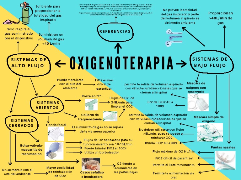 Gray Simple Rectangle Mind Map | PDF | Respiración | Gases