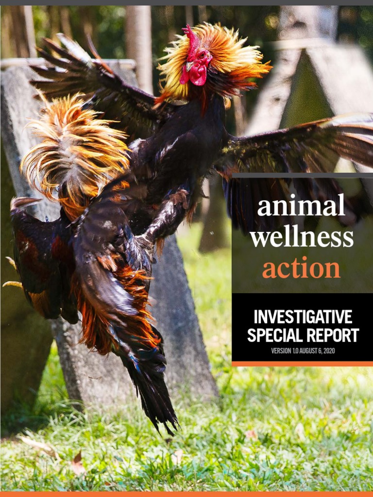 Animal Wellness Action Report | PDF | Matt Bevin | Felony