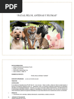 Sesión de Aprendizaje Cuidado de Los Animales | PDF | Aprendizaje | Mascota