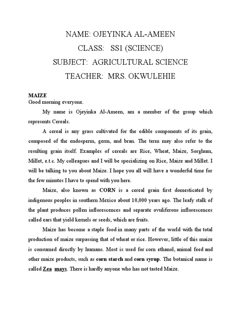 Maize Project | PDF | Maize | Cereals