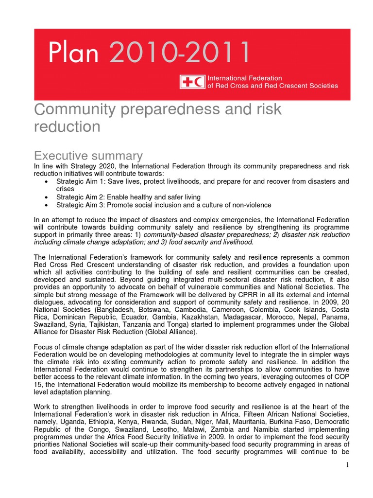 Community Preparedness and Risk Reduction: Executive Summary | PDF ...