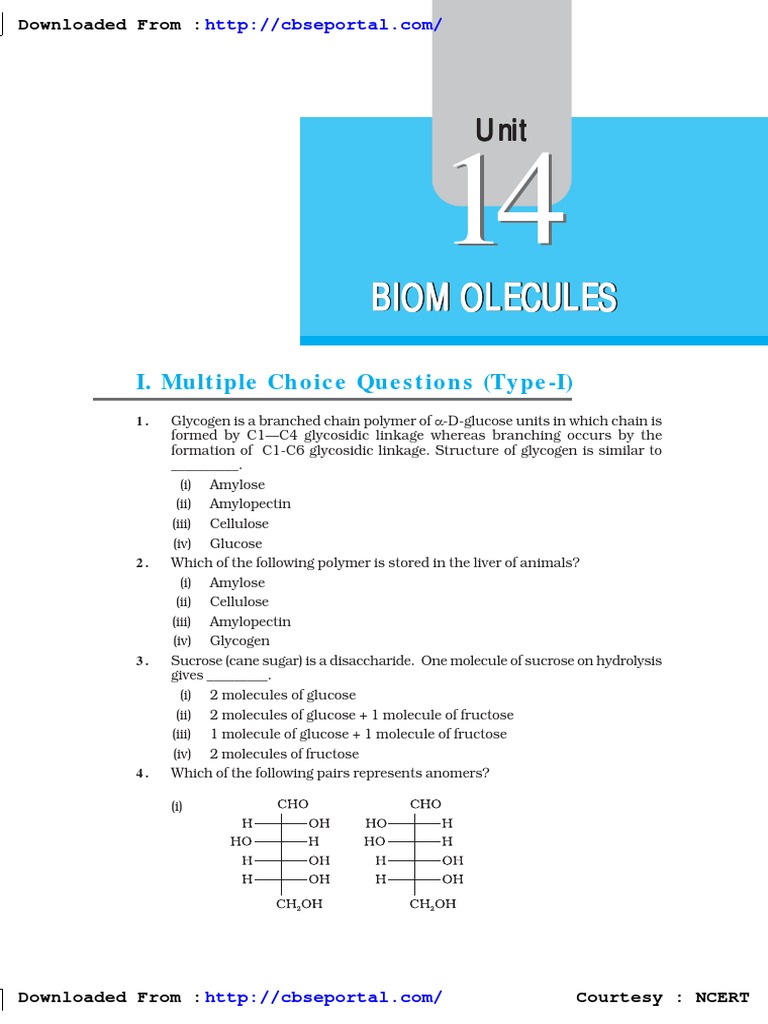 Biomolecules Study Guide | PDF | Carbohydrates | Glucose
