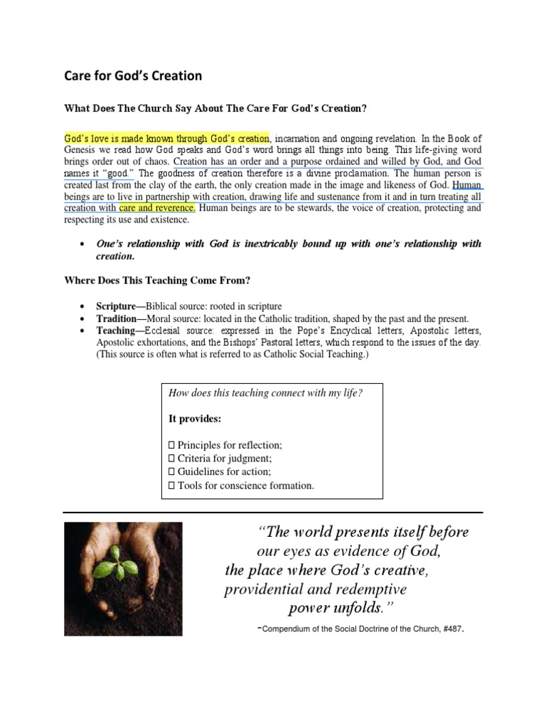 Care for God's Creation: What the Church Teaches | PDF | Genesis ...