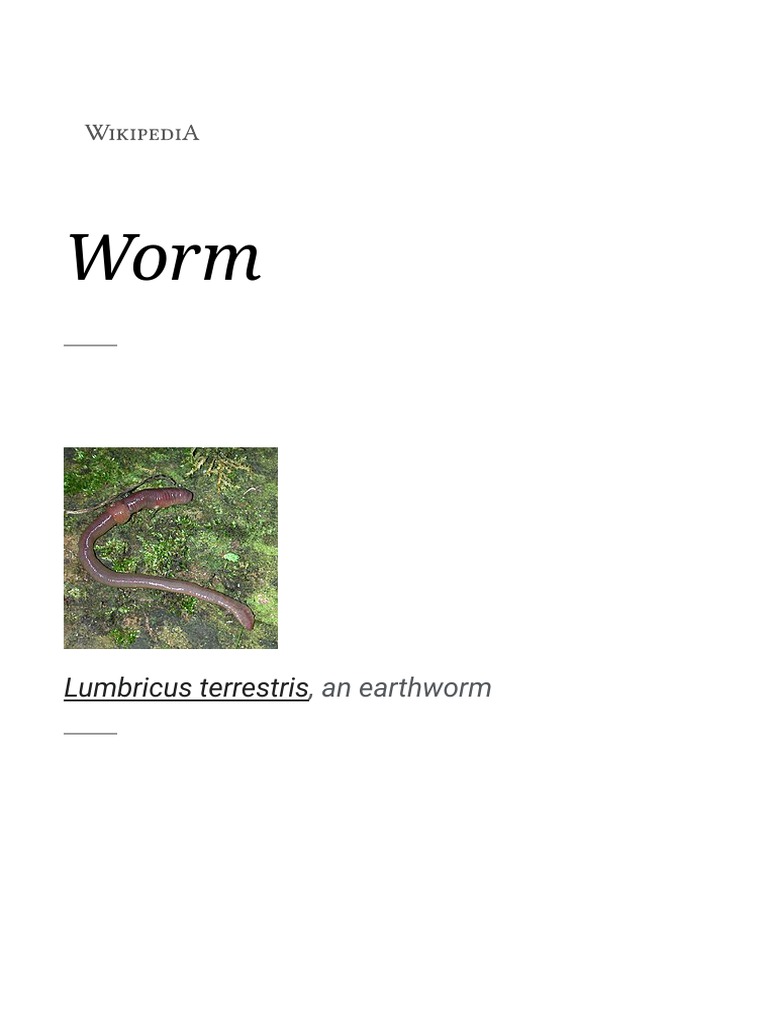 Worm - Wikipedia | Download Free PDF | Taxa | Animal Taxa