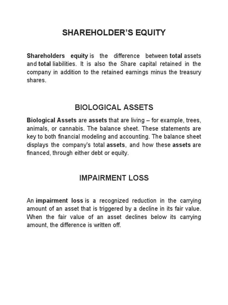 Shareholders Equity | PDF | Finance & Money Management