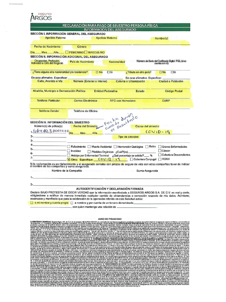01 - Guia para El Llenado de Formato Reclamacion Pago de Siniestro | PDF