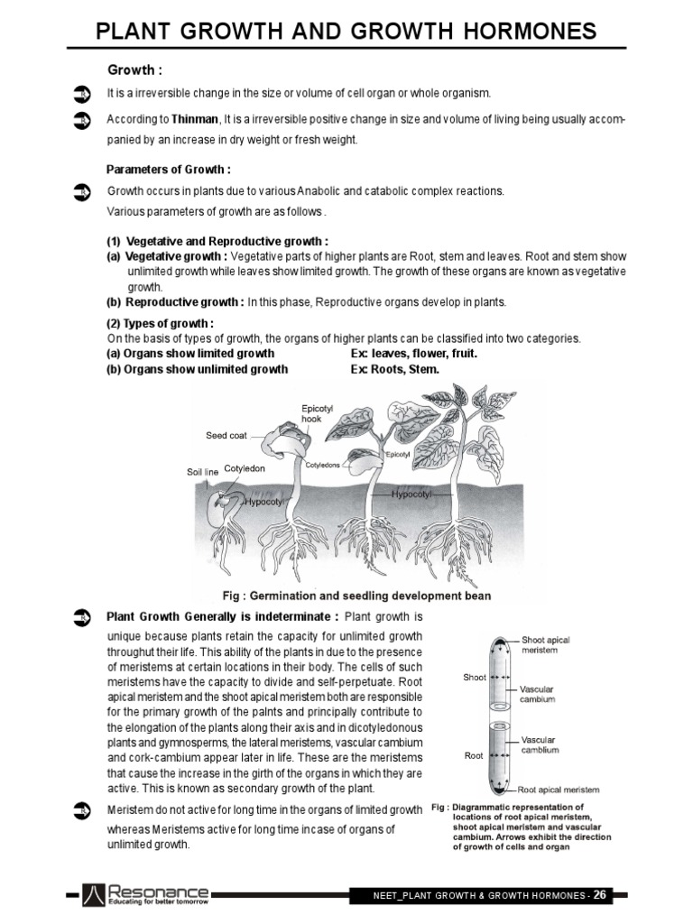 Plant Growth - Hormones | PDF | Plant Hormone | Auxin