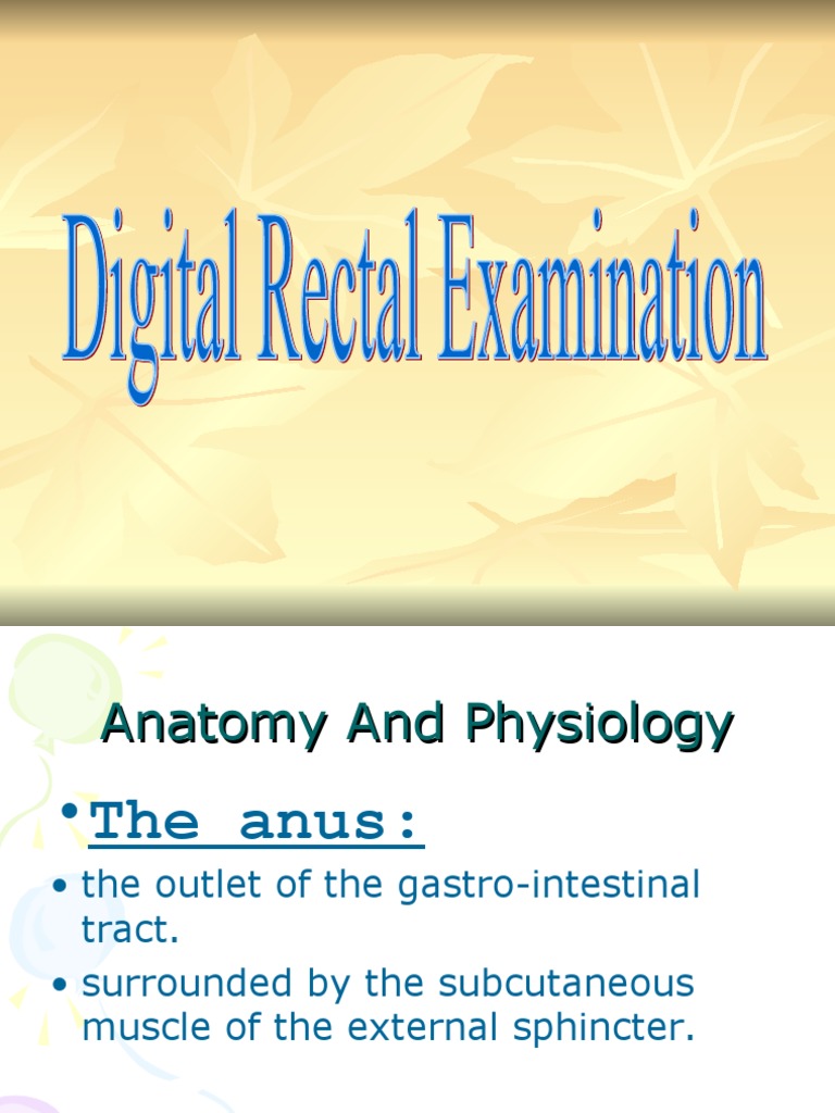 Digital Rectal Examination | PDF | Rectum | Digestive System