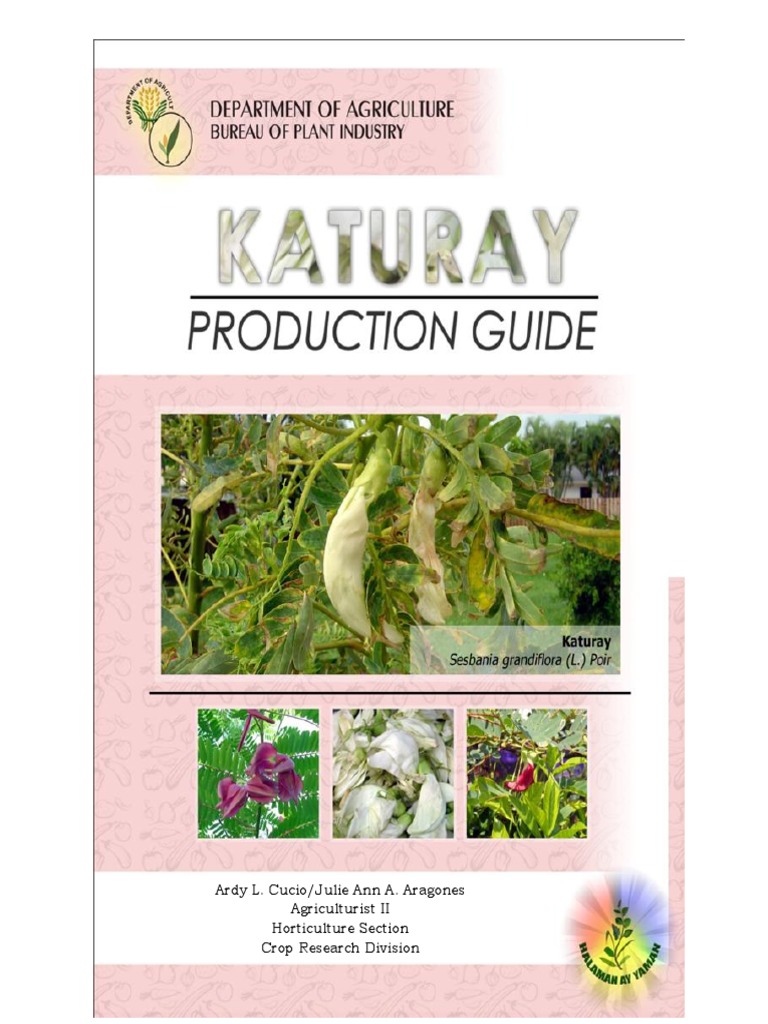 Katuray Prodn | PDF | Horticulture And Gardening | Plants