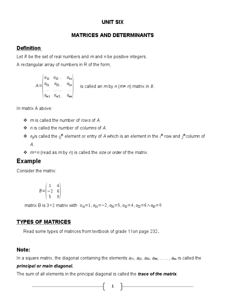 Unit Six Matrices and Determinants: Example | PDF | Matrix (Mathematics) | Functions And Mappings