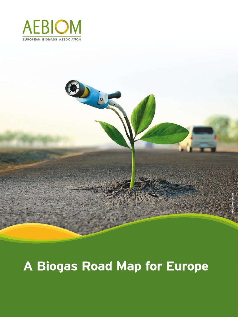 A Biogas Road Map For Europe | PDF | Biogas | Anaerobic Digestion