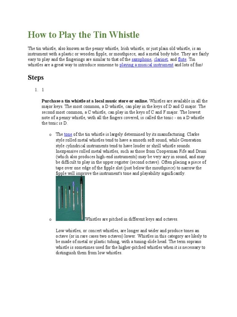 How To Play The Tin Whistle | PDF | Musicology | Musical Instruments
