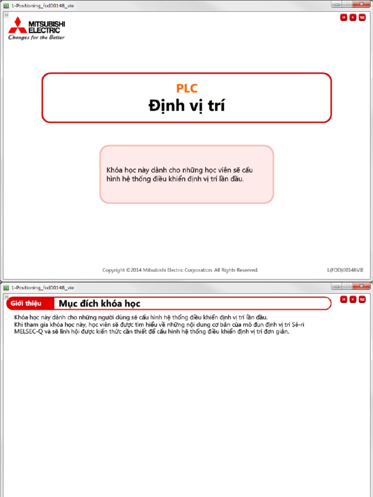 1-Positioning Fod Vie PDF | PDF