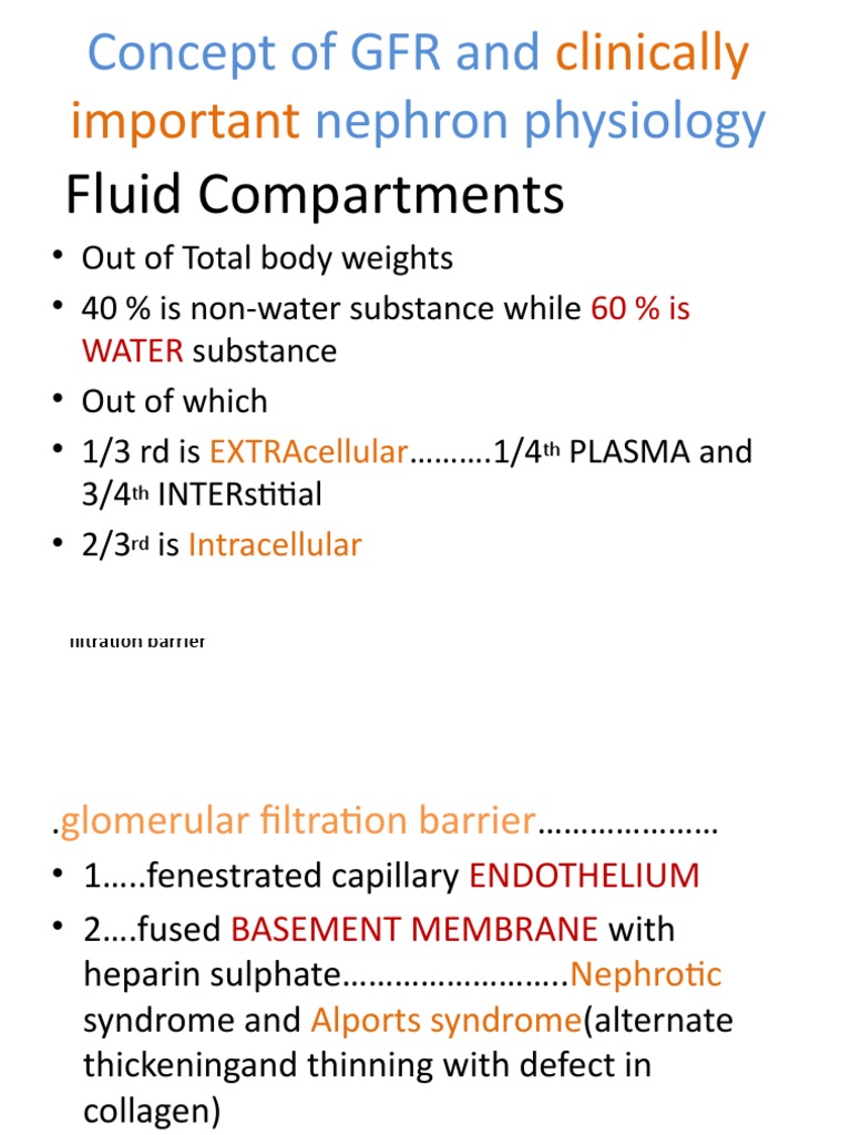 Concept of GFR and Nephron Physiology: Clinically Important | PDF ...
