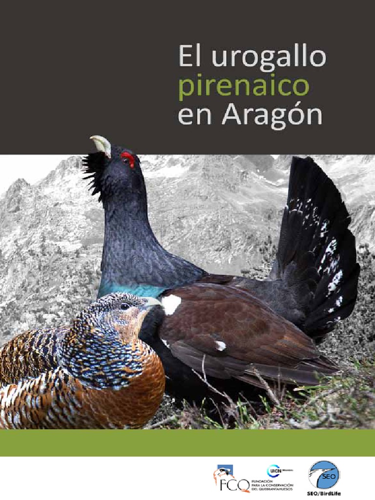 El Urogallo Pirenaico en Aragón PDF | PDF | Organismos | Conservación
