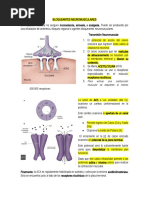 Succinilcolina: Usos y Contraindicaciones | PDF | Farmacología | Medicina