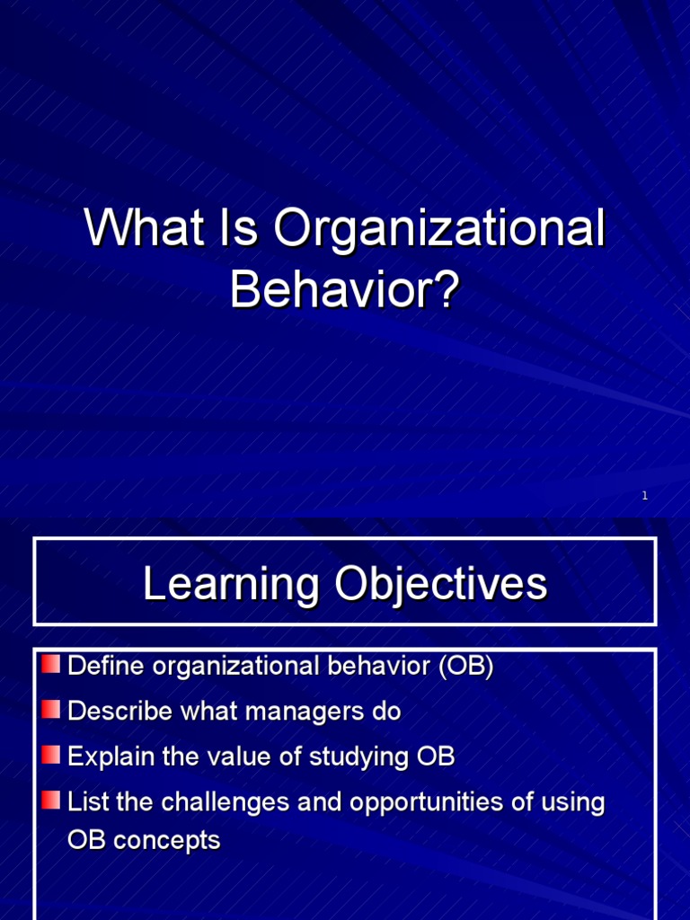 What Is Ob | PDF | Organizational Behavior | Job Satisfaction