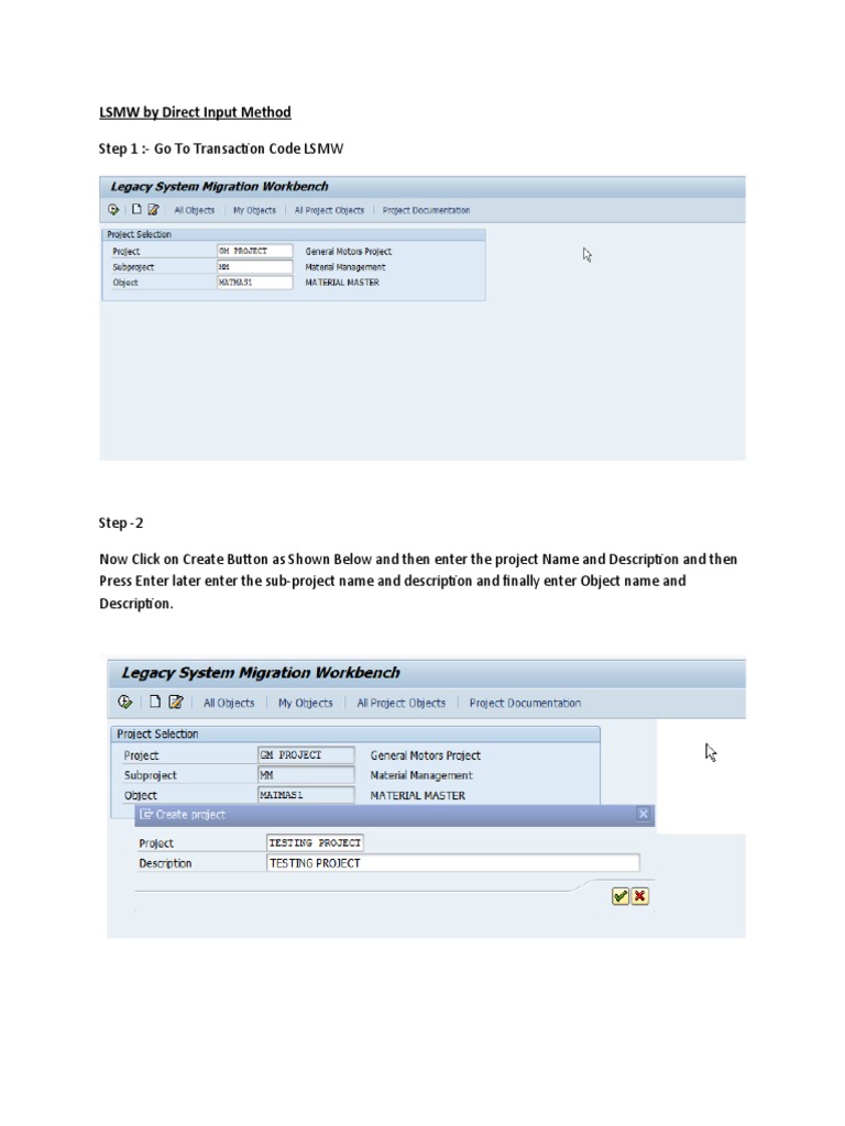 Lsmw By Direct Input Method Pdf Menu Computing Button Computing