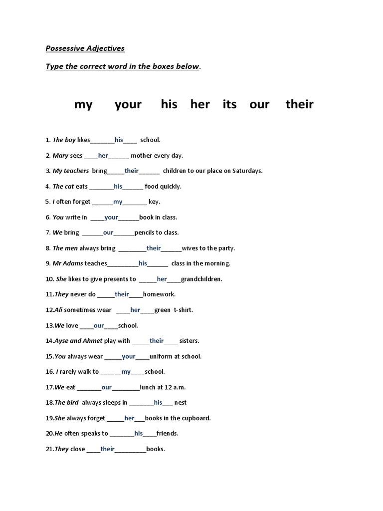 Possessive Adjetives Exercises | PDF