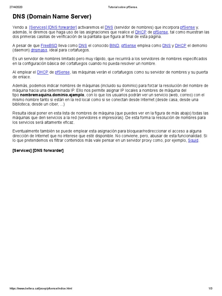 Tutorial Sobre Pfsense - Dns | PDF