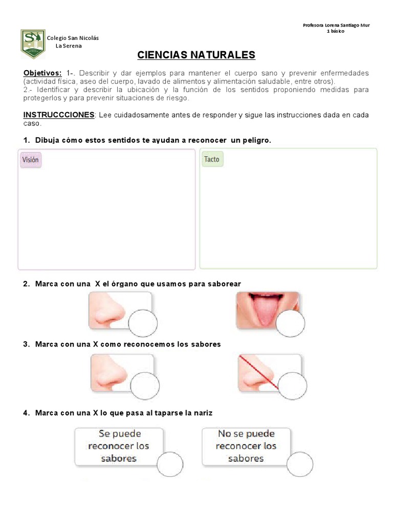 Guía Estudio Los Sentidos | PDF