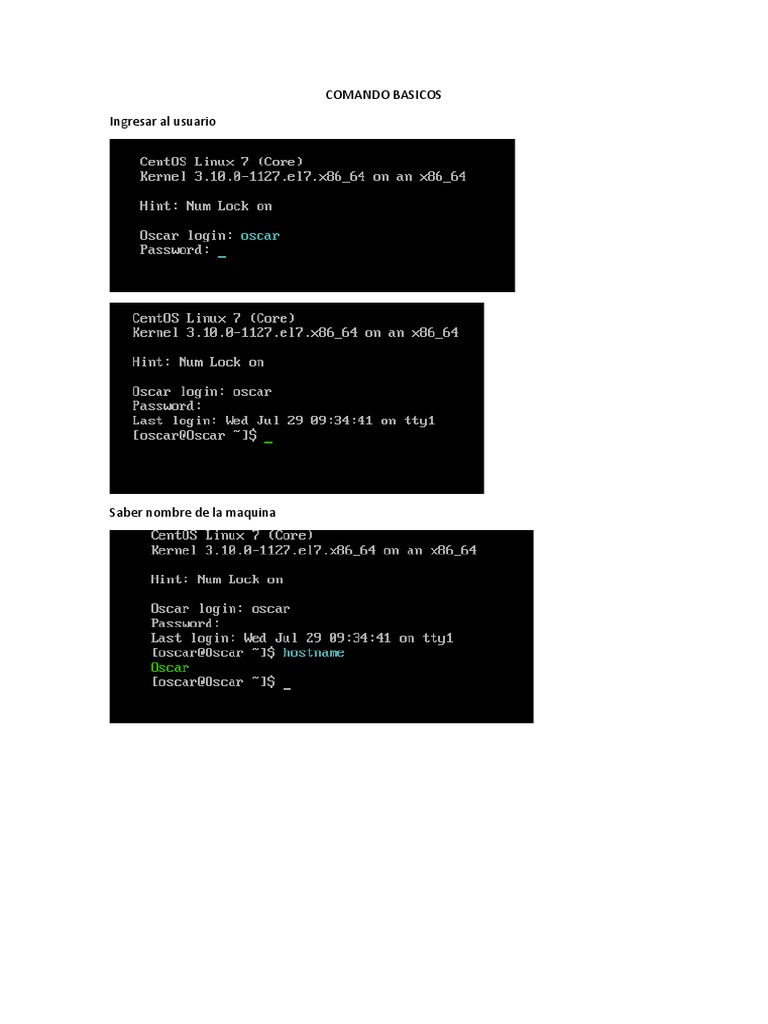 03 Comandos Basicos Linux | PDF | Arte | Informática