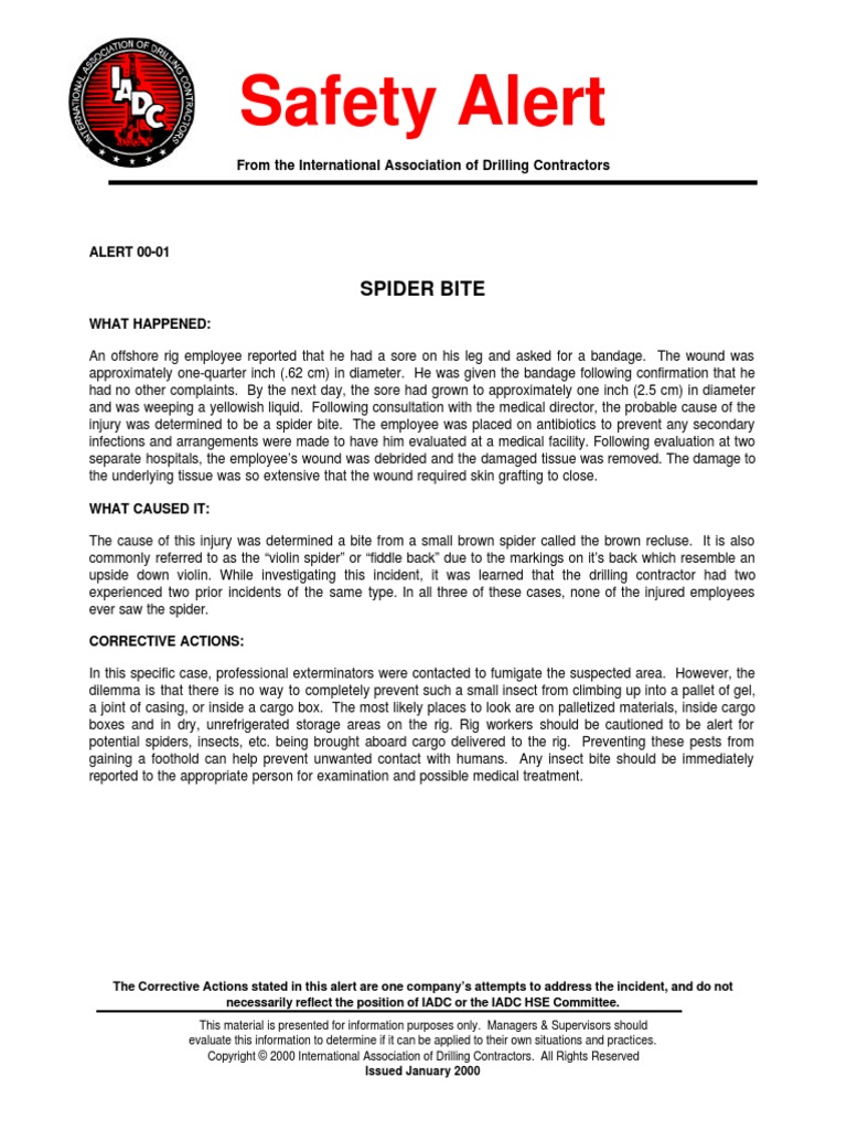 Safety Alert: Spider Bite | PDF | Clinical Medicine | Medical Specialties