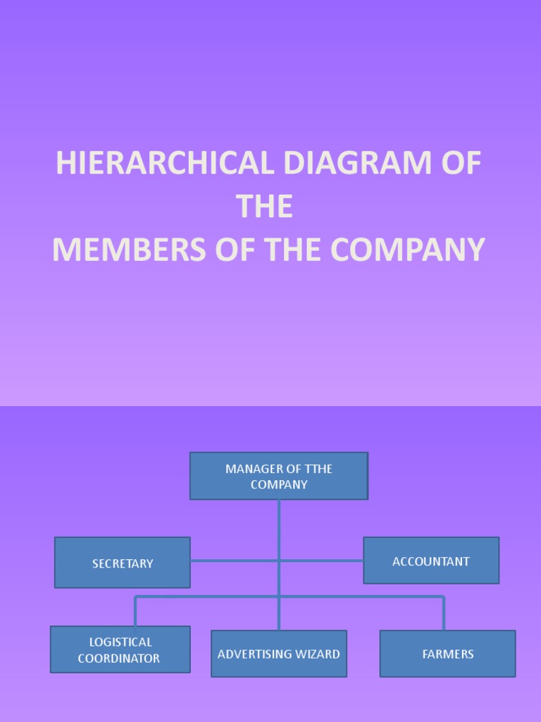 Hierarchical Diagram of THE Members of The Company | PDF