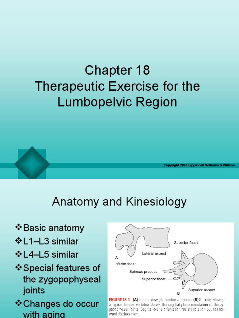 Therapeutic Exercise For The Lumbopelvic Region | PDF | Pelvis ...
