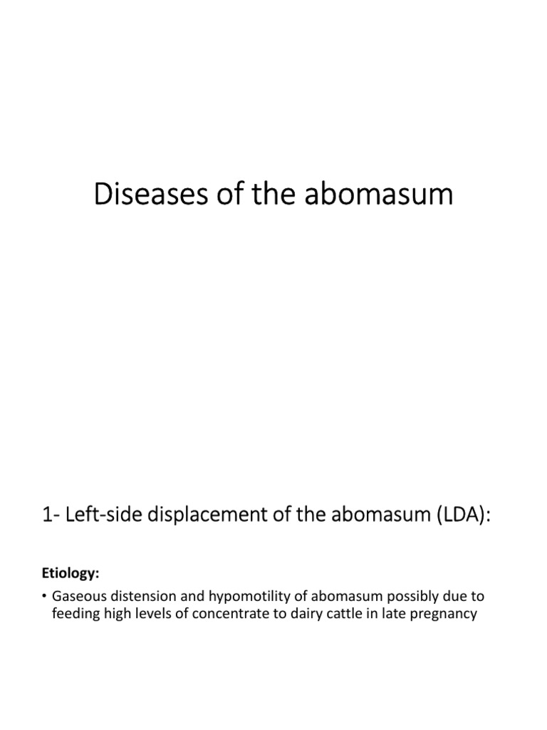 Diseases of The Abomasum | PDF | Rectum | Abdomen