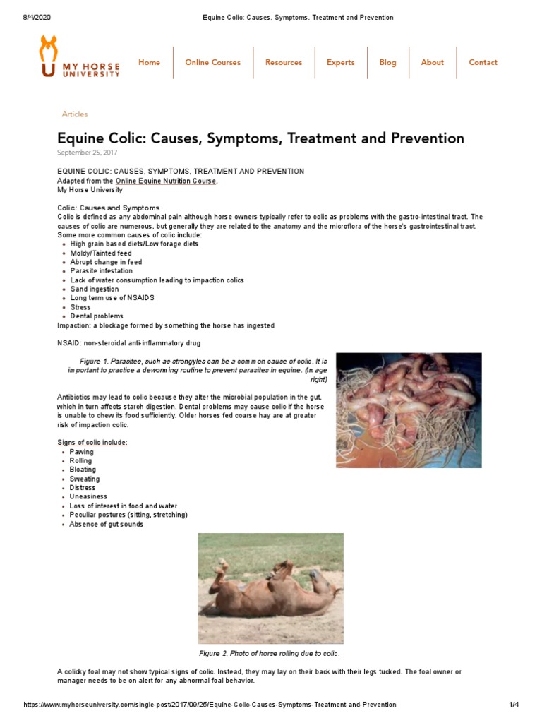 Equine Colic - Causes, Symptoms, Treatment and Prevention | PDF ...