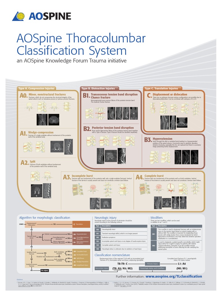 AOSpine Thoracolumbar Classification System - Poster PDF | PDF ...