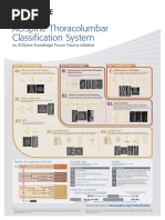 AOS Injury Classification Systems Poster 20200327 THORACOLUMBAR | PDF ...