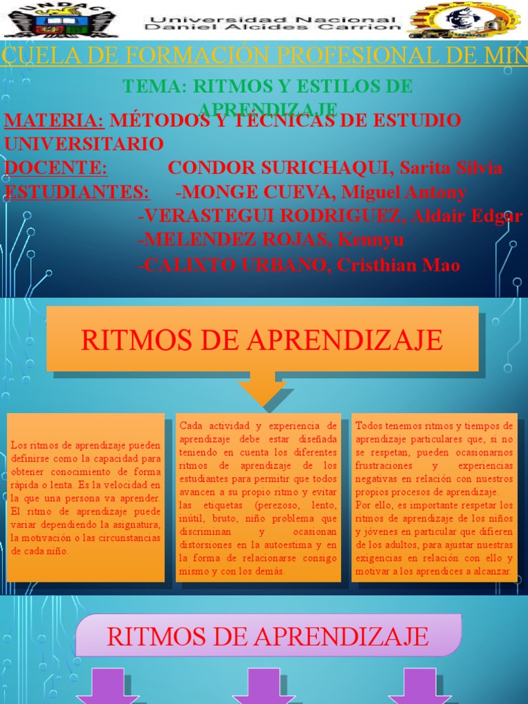 Ritmos y Estilos de Aprendizaje | PDF | Ciencias del comportamiento | Aprendizaje