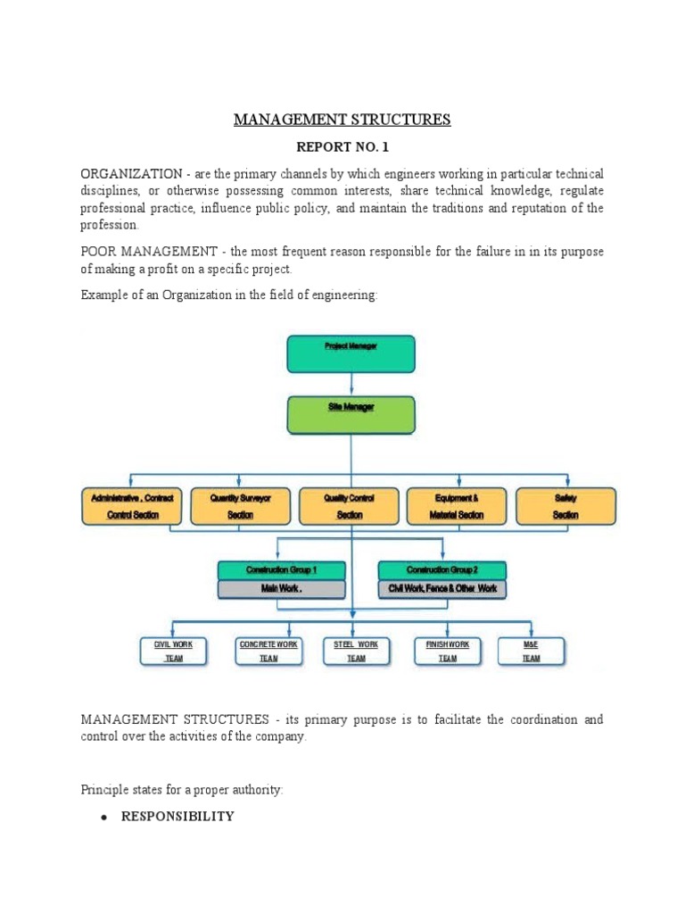 Management Structures: Organization | PDF | Policy | Business