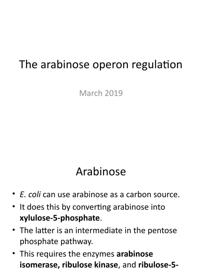 Arabinose + Tryptophan Operon | PDF | Operon | Cellular Processes
