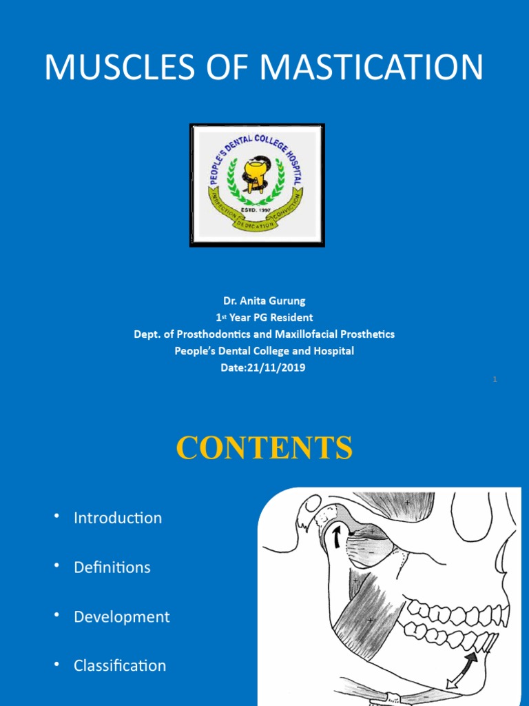Muscles of Mastication PPT PG 1st Yr | PDF | Musculoskeletal System ...