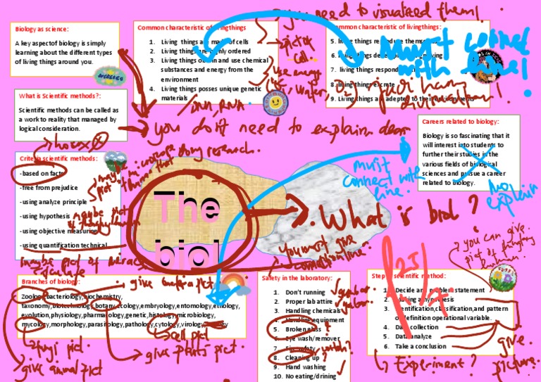 Edited - Mind Map Biology | PDF | Biology | Zoology