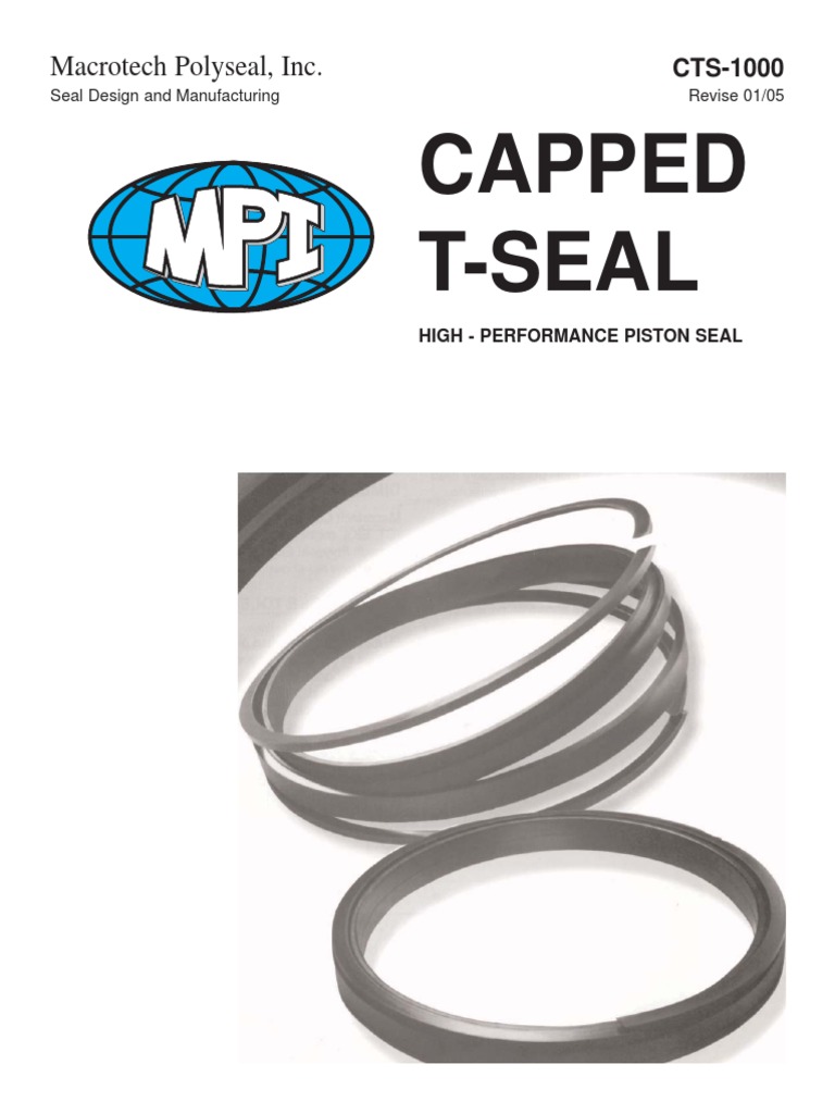 MPI Seals Catalog CTS-1000 | PDF | Engineering Tolerance | Extrusion