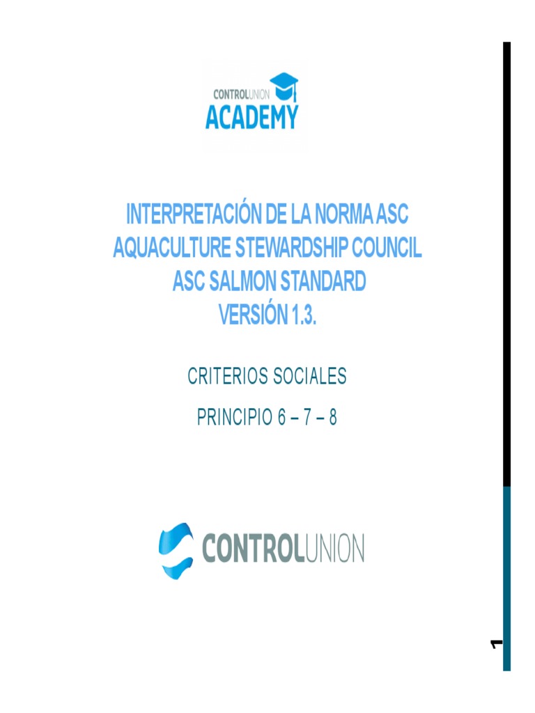 Nova Austral - ASC Capacitación Principios Sociales Julio 2020 | PDF | Sindicato | Salario digno
