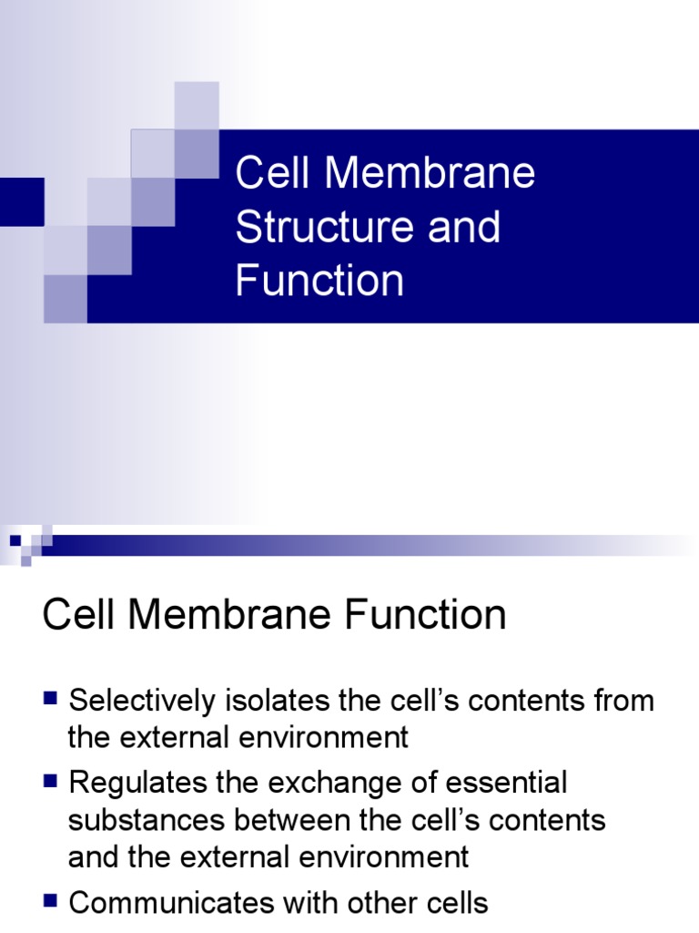 Cell Membrane: Structure & Function | PDF | Cell Membrane | Lipid Bilayer