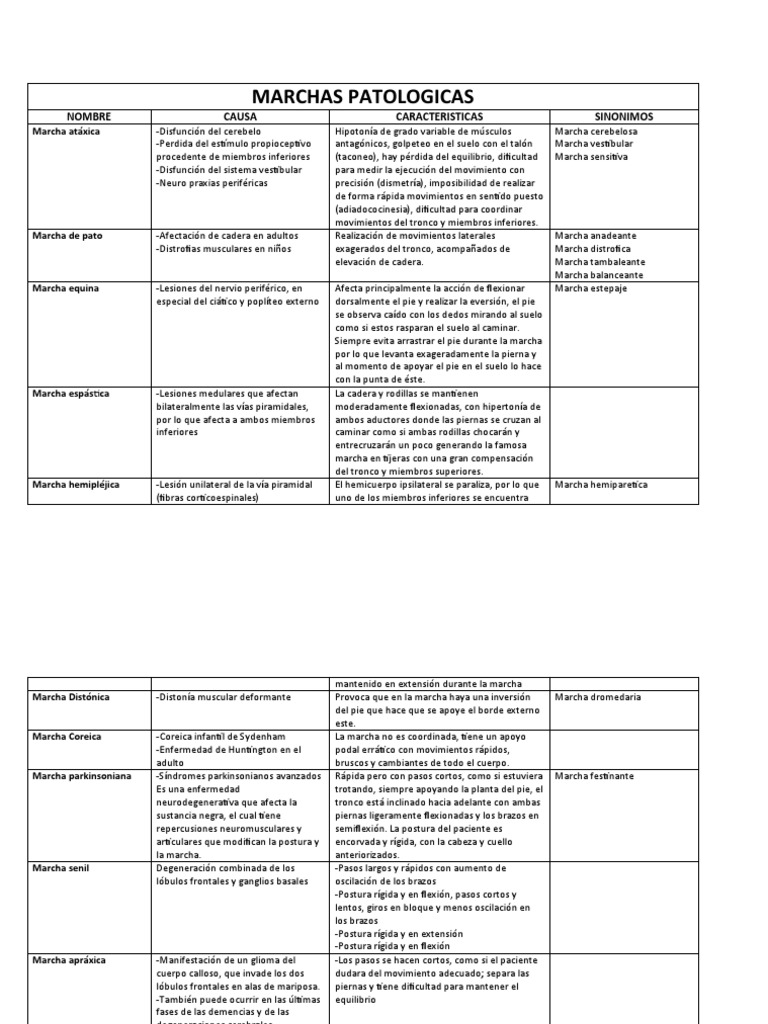 Marchas Patologicas | Descargar gratis PDF | Pie | Rodilla