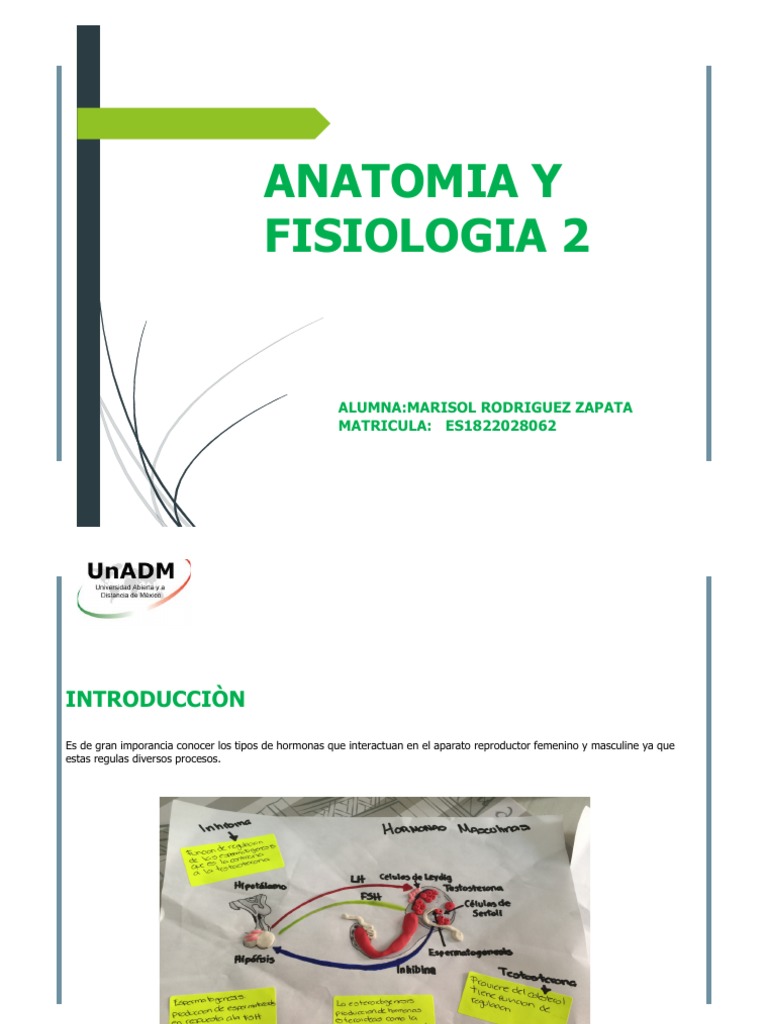 Afi2 U2 Ea Marz | PDF | Sexo | Reproducción sexual